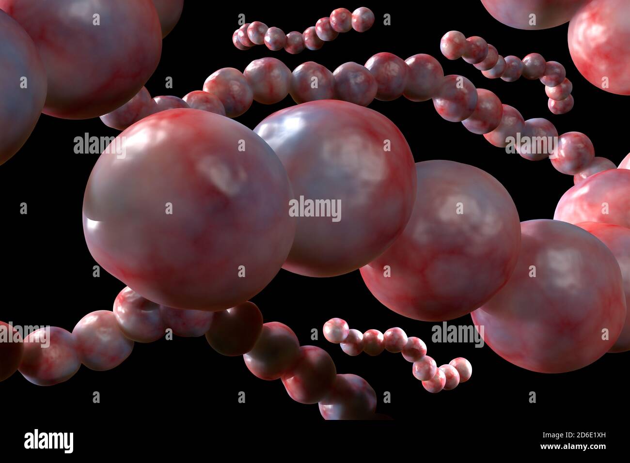 Strep throat also known as Streptococcus Pneumonia bacteria in mouth 3D ...