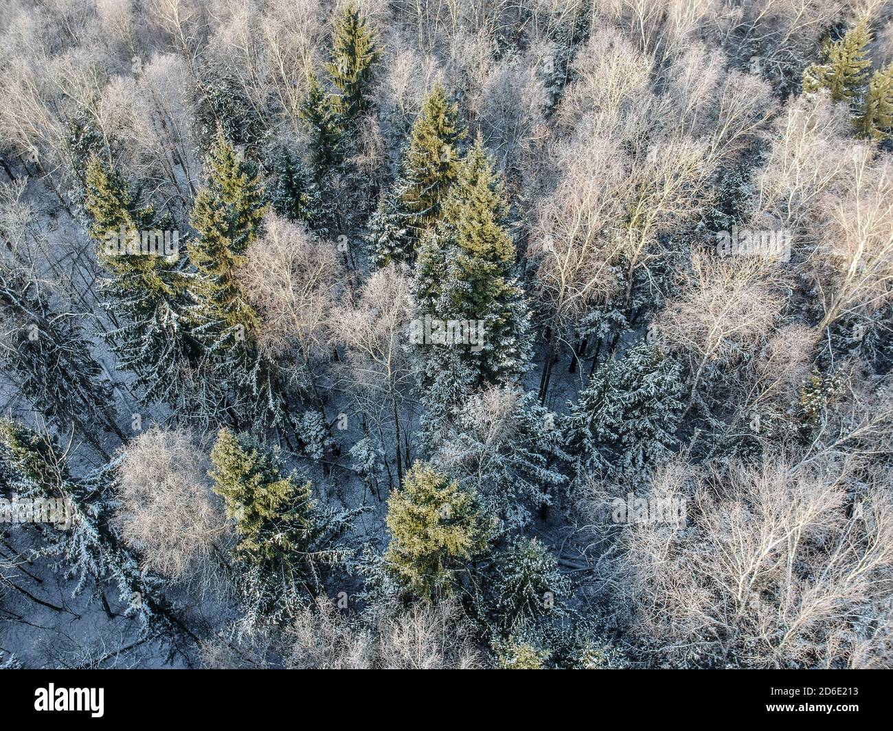 Drone aerial shot thick forest hi-res stock photography and images - Alamy