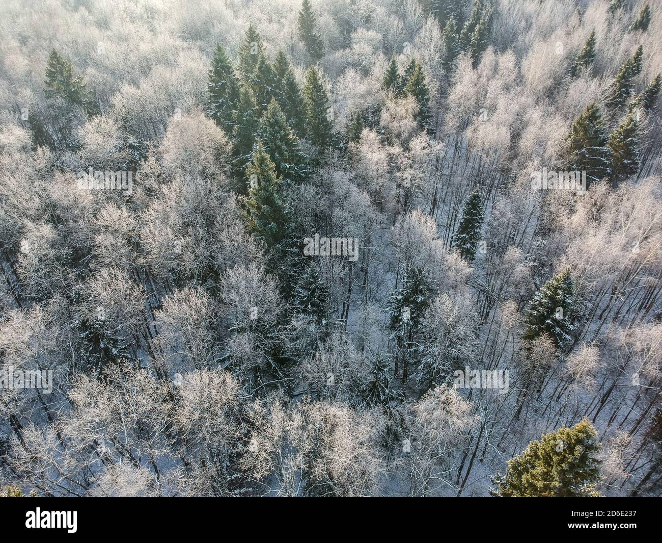 Cold and sunny morning hi-res stock photography and images - Alamy