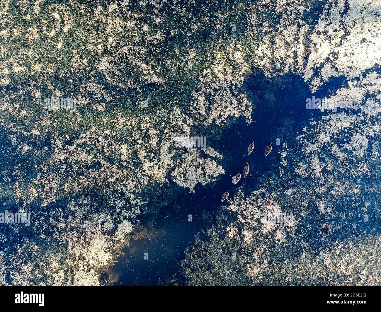 Overhead shot lake hi-res stock photography and images - Alamy