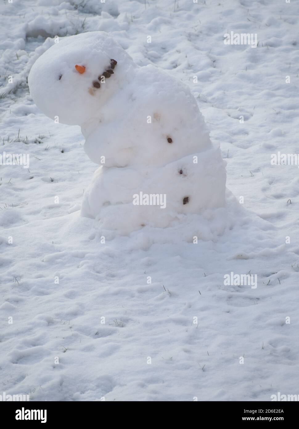 Real Melting Snowman