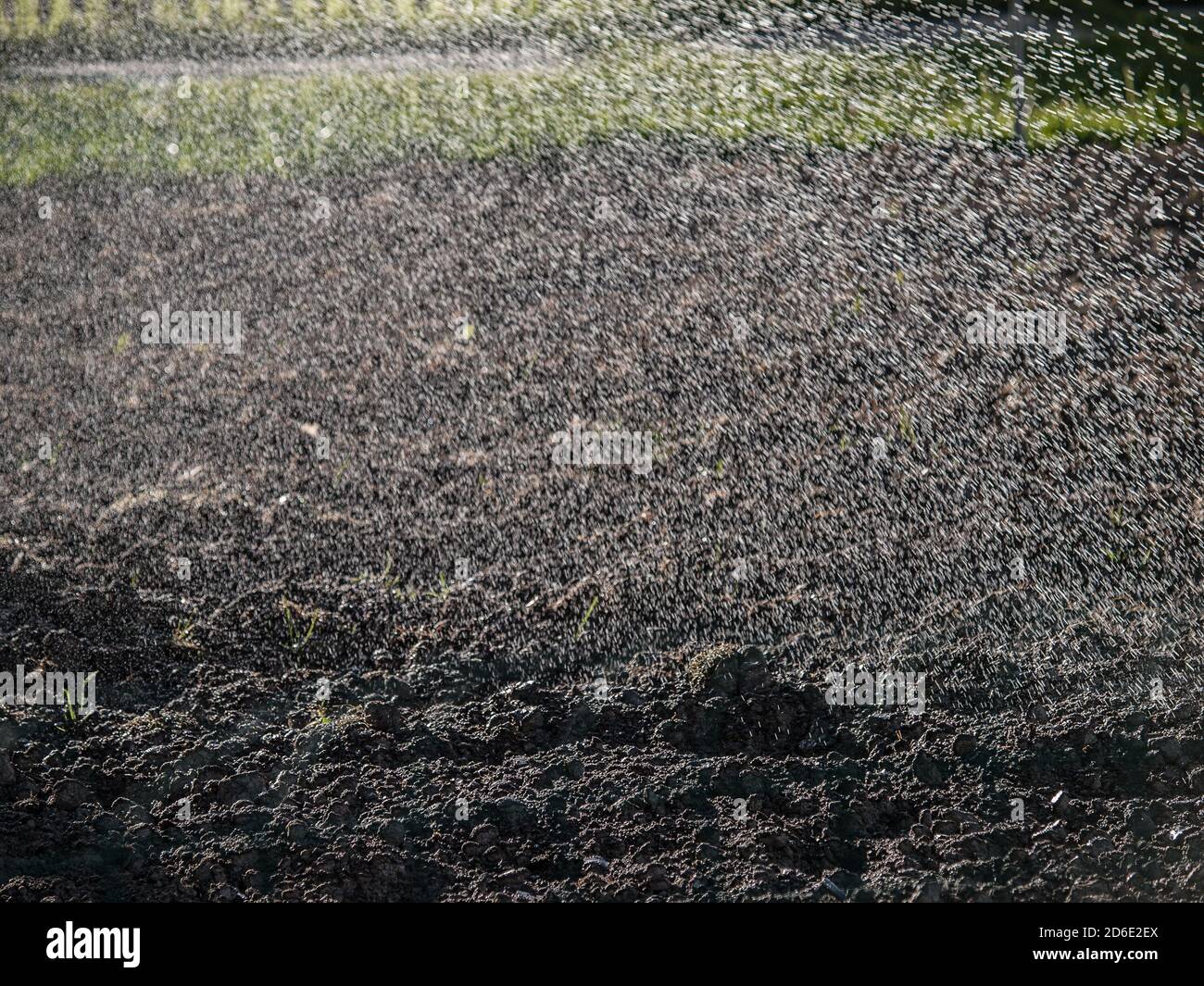Sprayed drops of water falling on cultivated land like rain Stock Photo ...