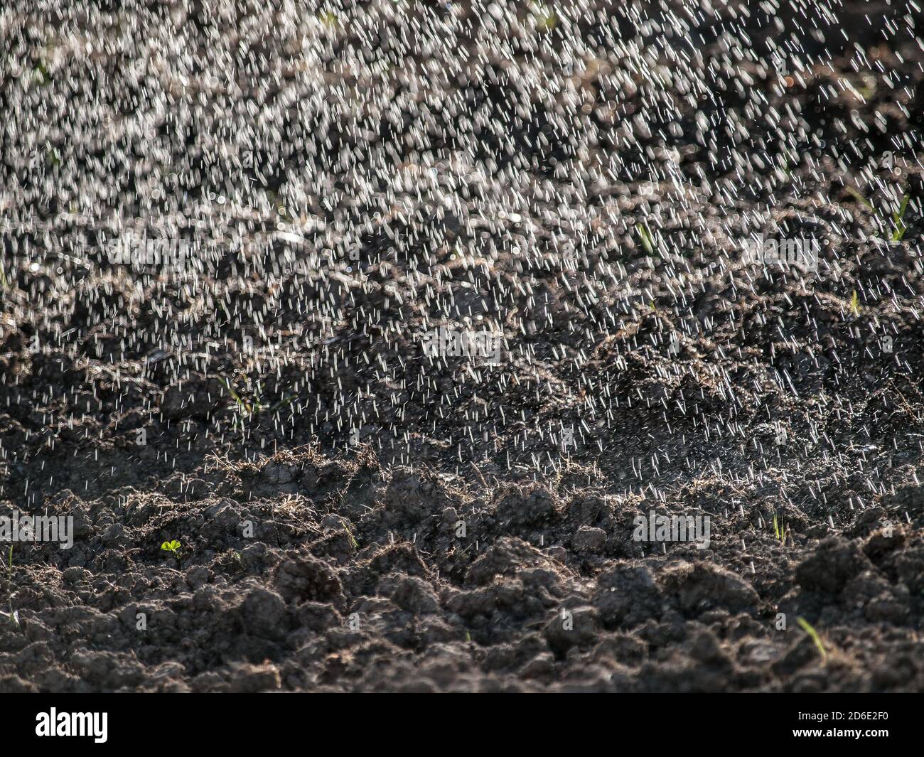 Sprayed drops of water falling on cultivated land like rain Stock Photo ...