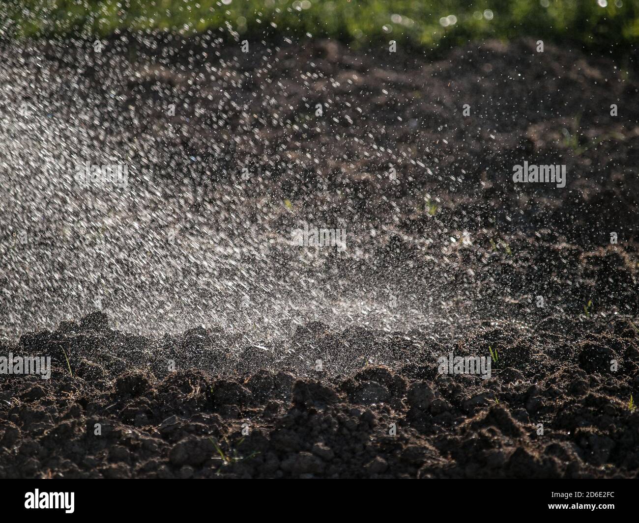 Sprayed drops of water falling on cultivated land like rain Stock Photo ...