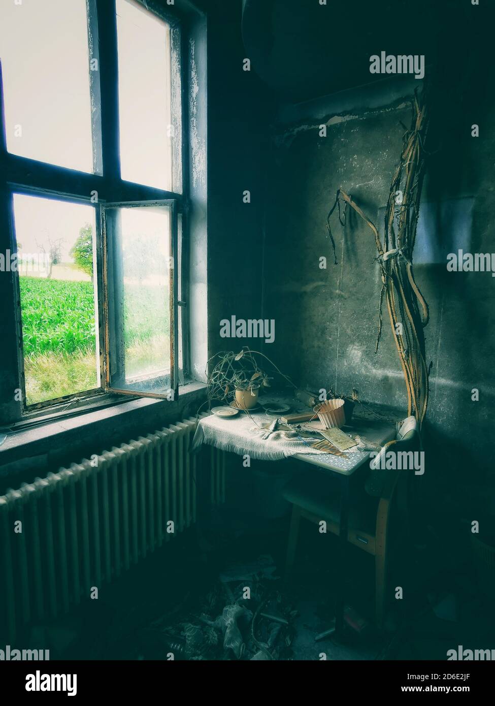 Lost Place, old abandoned gym Stock Photo - Alamy