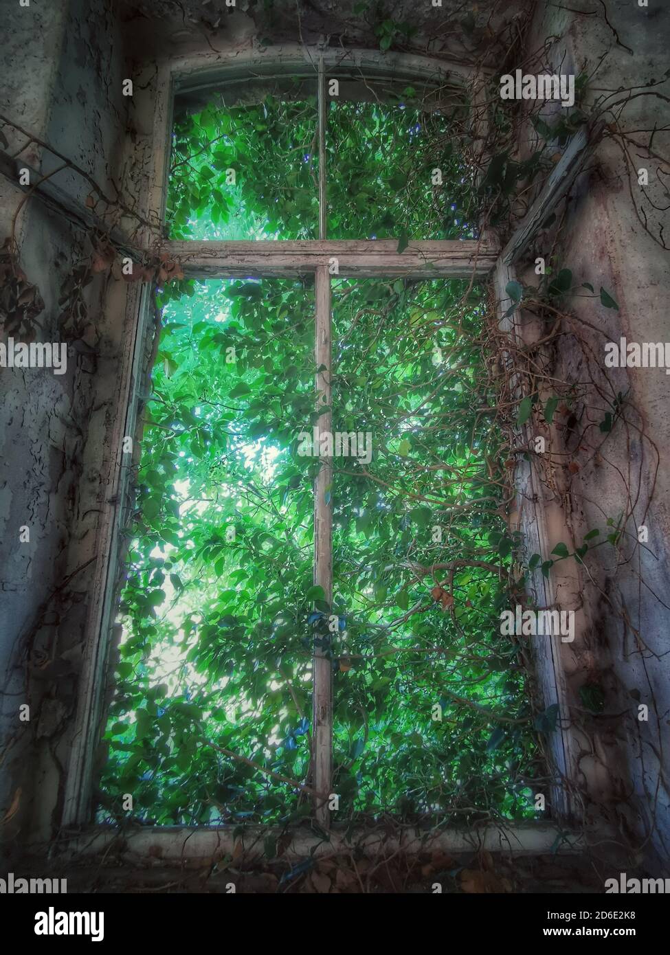 Lost Place, old ailing hall, window Stock Photo - Alamy