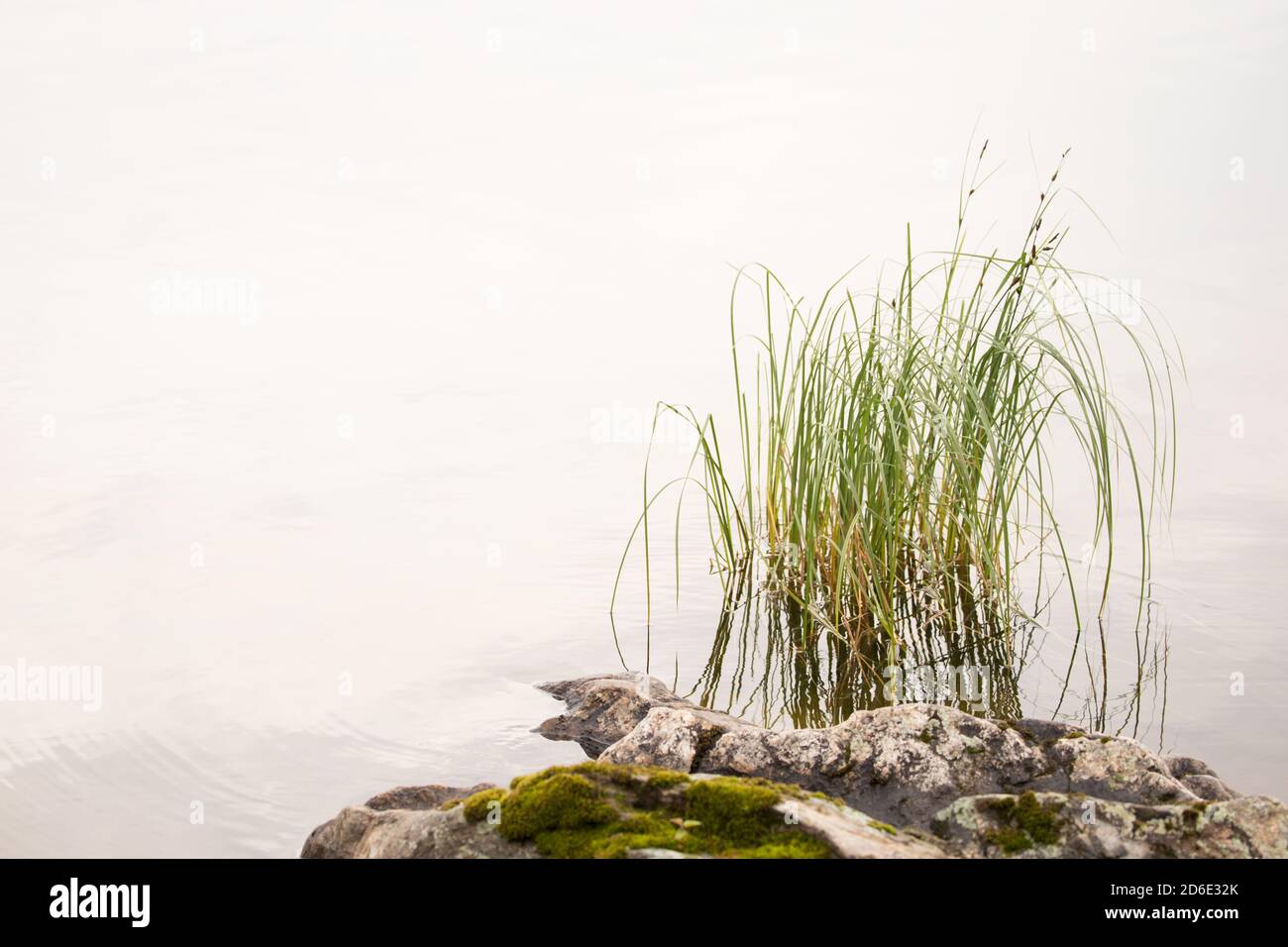 Minimal landscape hi-res stock photography and images - Alamy