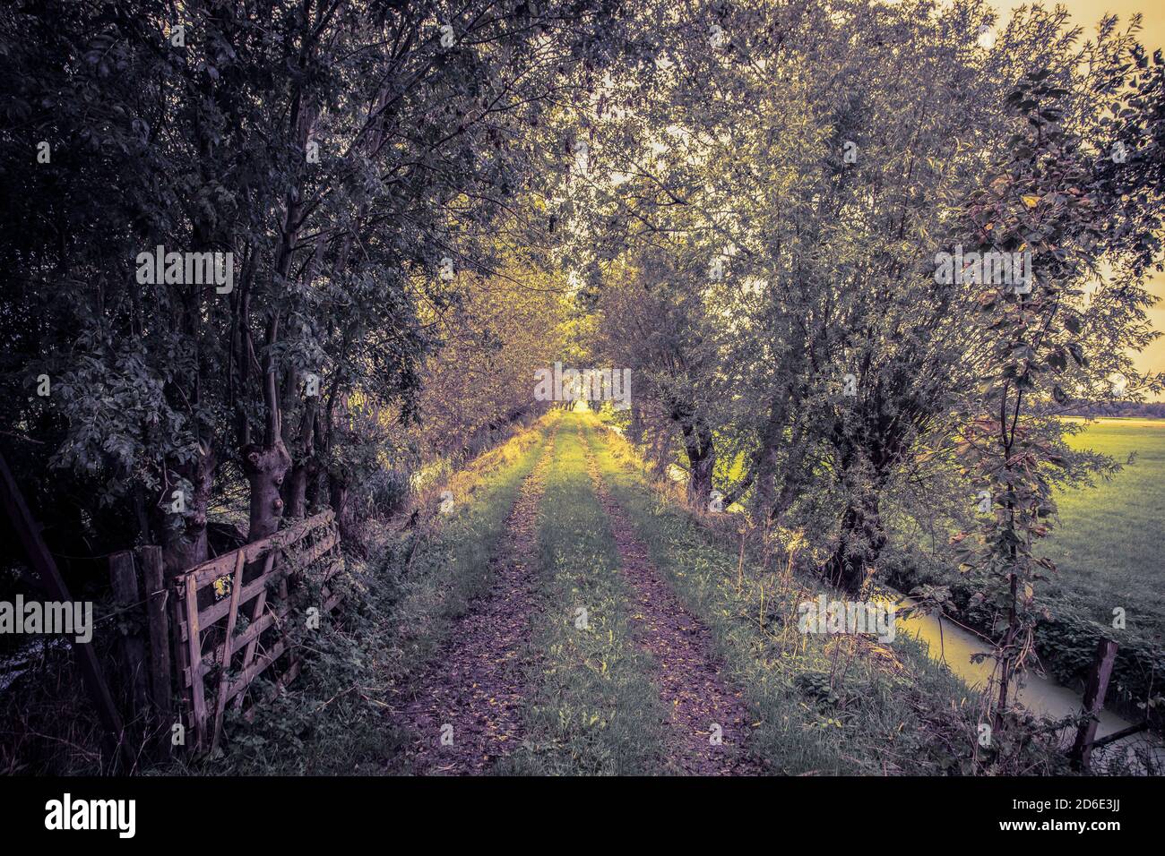 Gate And Lane At A Farmland At Abcoude The Netherlands Stock Photo - Alamy