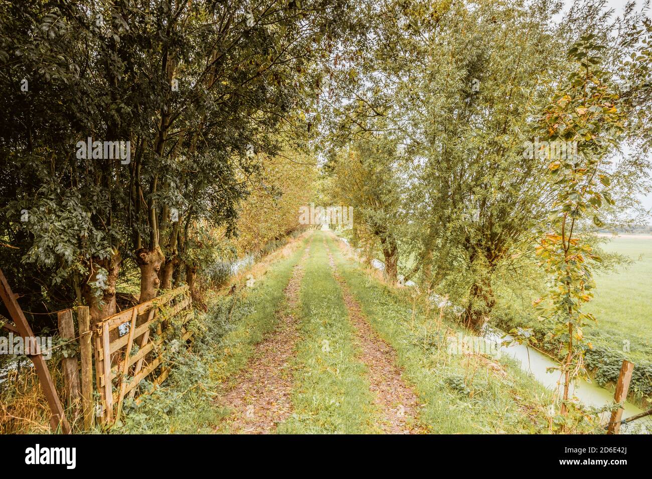 Lane with long wooden fence hi-res stock photography and images - Alamy