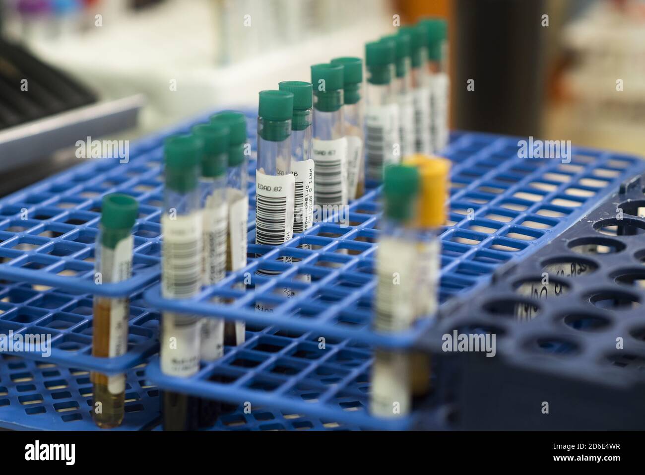 Test tubes in a tray in the laboratory Stock Photo - Alamy