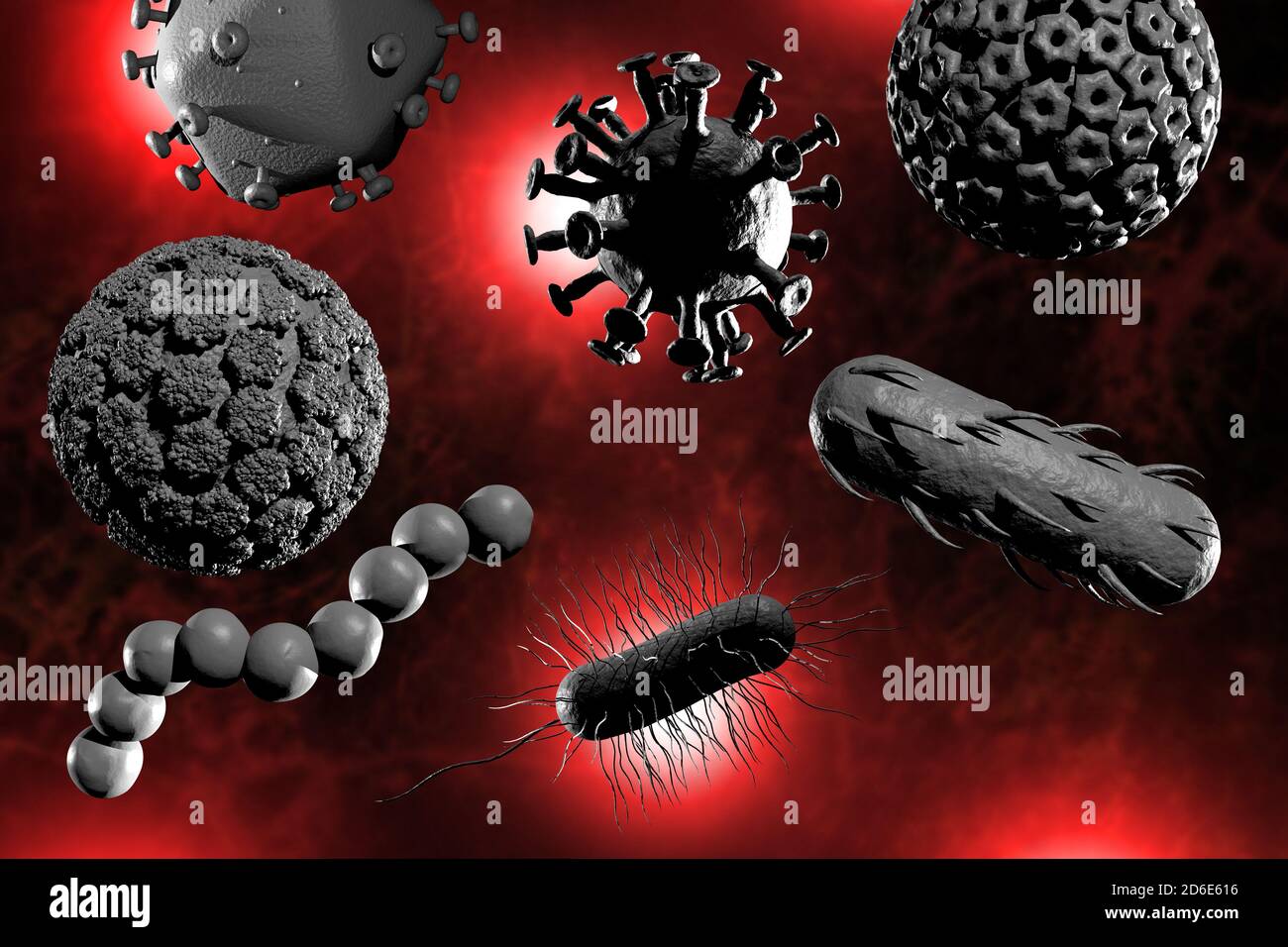 Several dangerous bacteria including e.coli salmonella coronavirus and ...