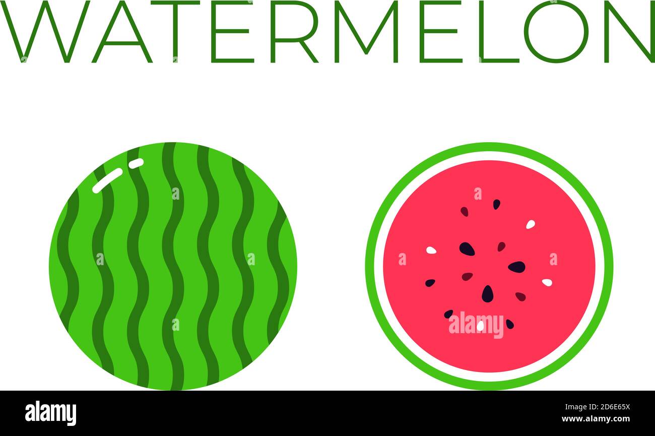 Vector of watermelon and sliced half of watermelon on white background ...