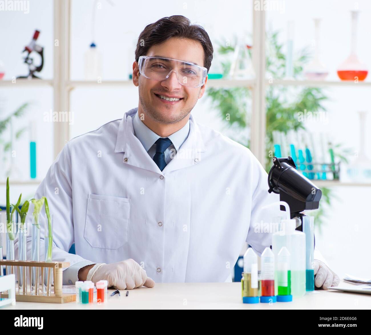 The male biochemist working in the lab on plants Stock Photo - Alamy