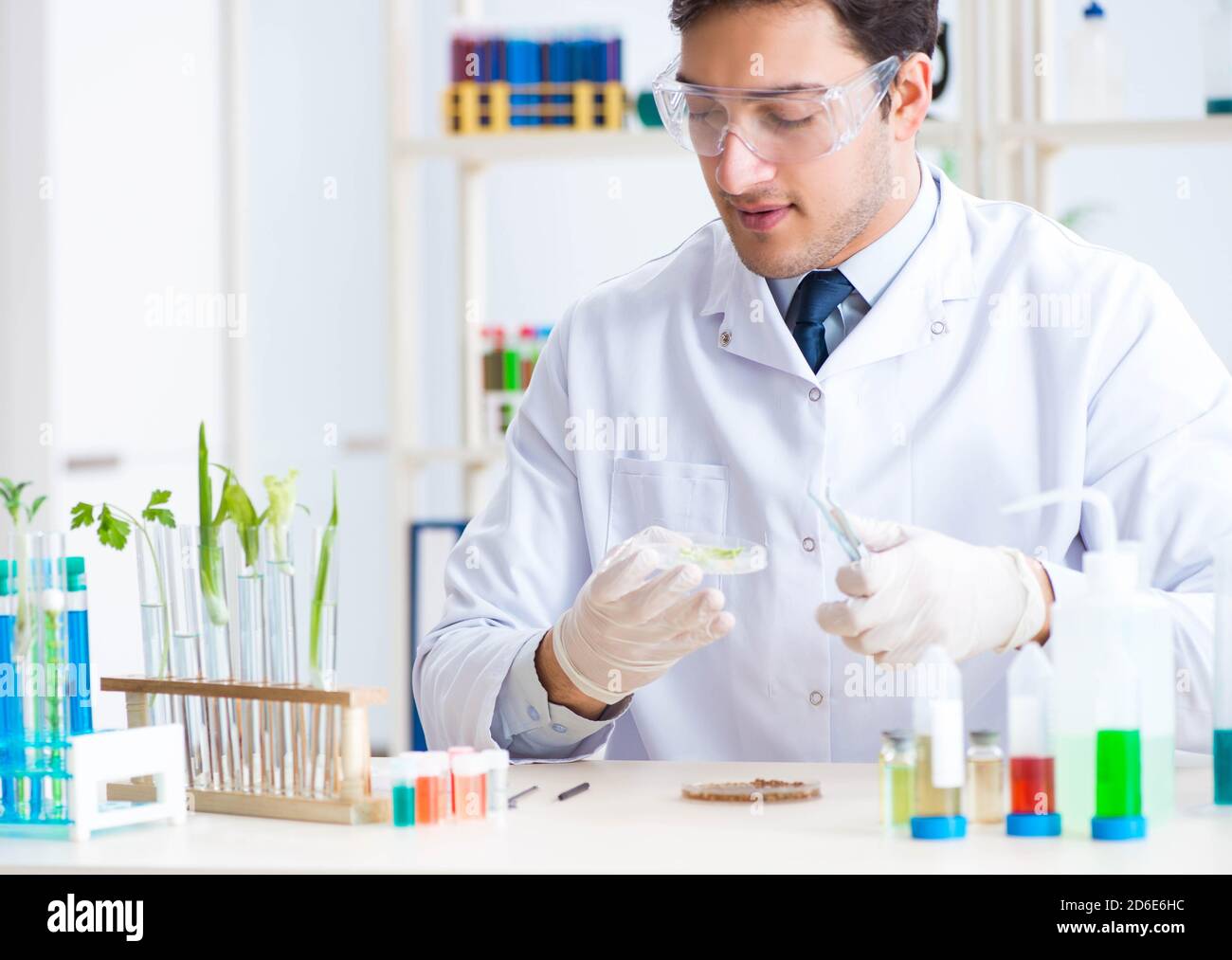 The male biochemist working in the lab on plants Stock Photo - Alamy