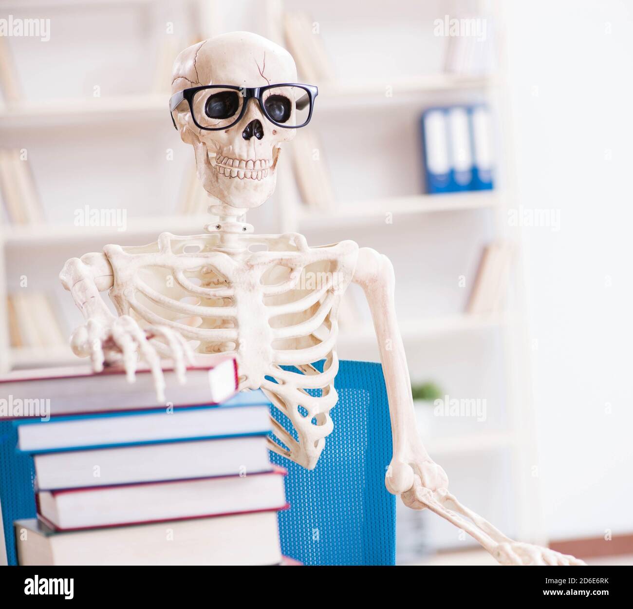 The student skeleton preparing for exams Stock Photo - Alamy