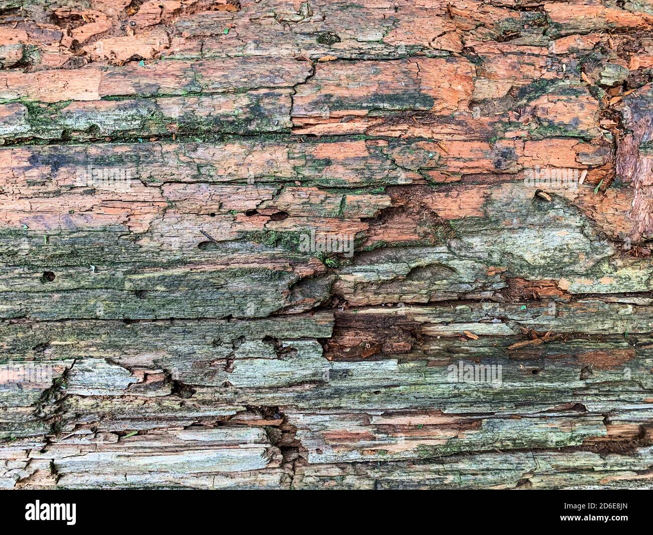 Background, texture of an old rotting, damaged wooden surface Stock ...