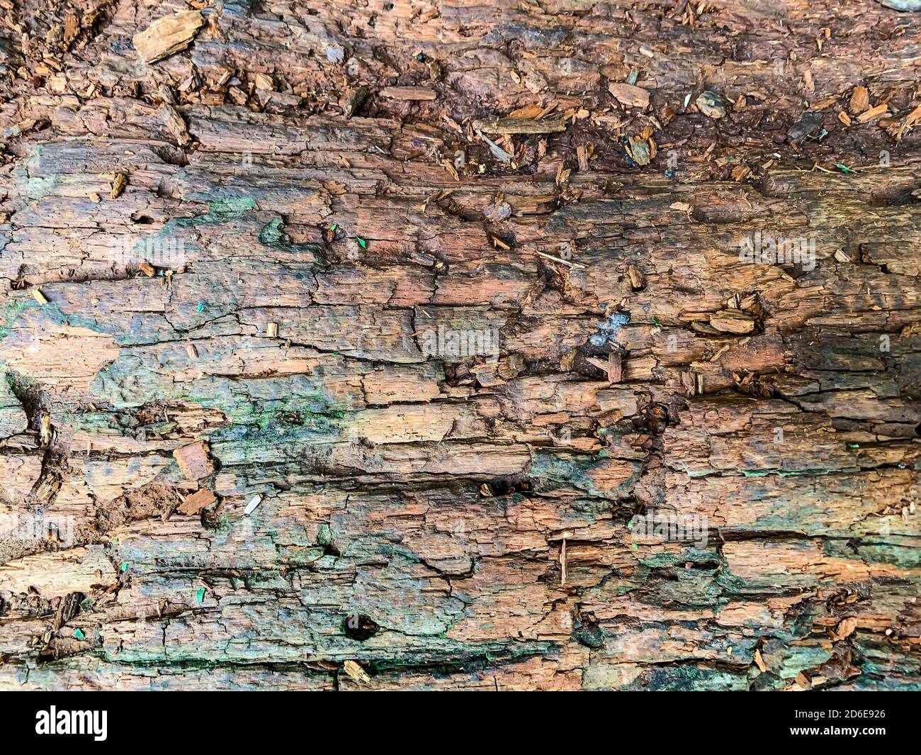 Background, texture of an old rotting, damaged wooden surface Stock ...