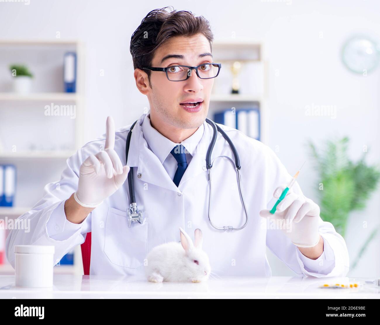 The vet doctor examining rabbit in pet hospital Stock Photo - Alamy