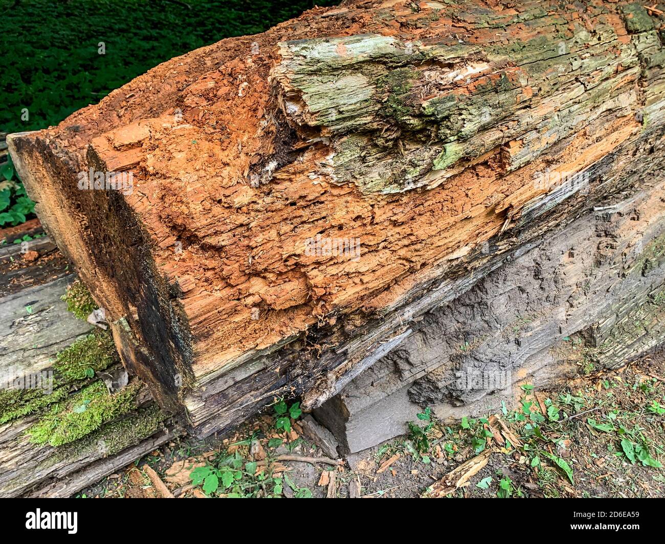 Background, texture of an old rotting, damaged wooden surface Stock ...
