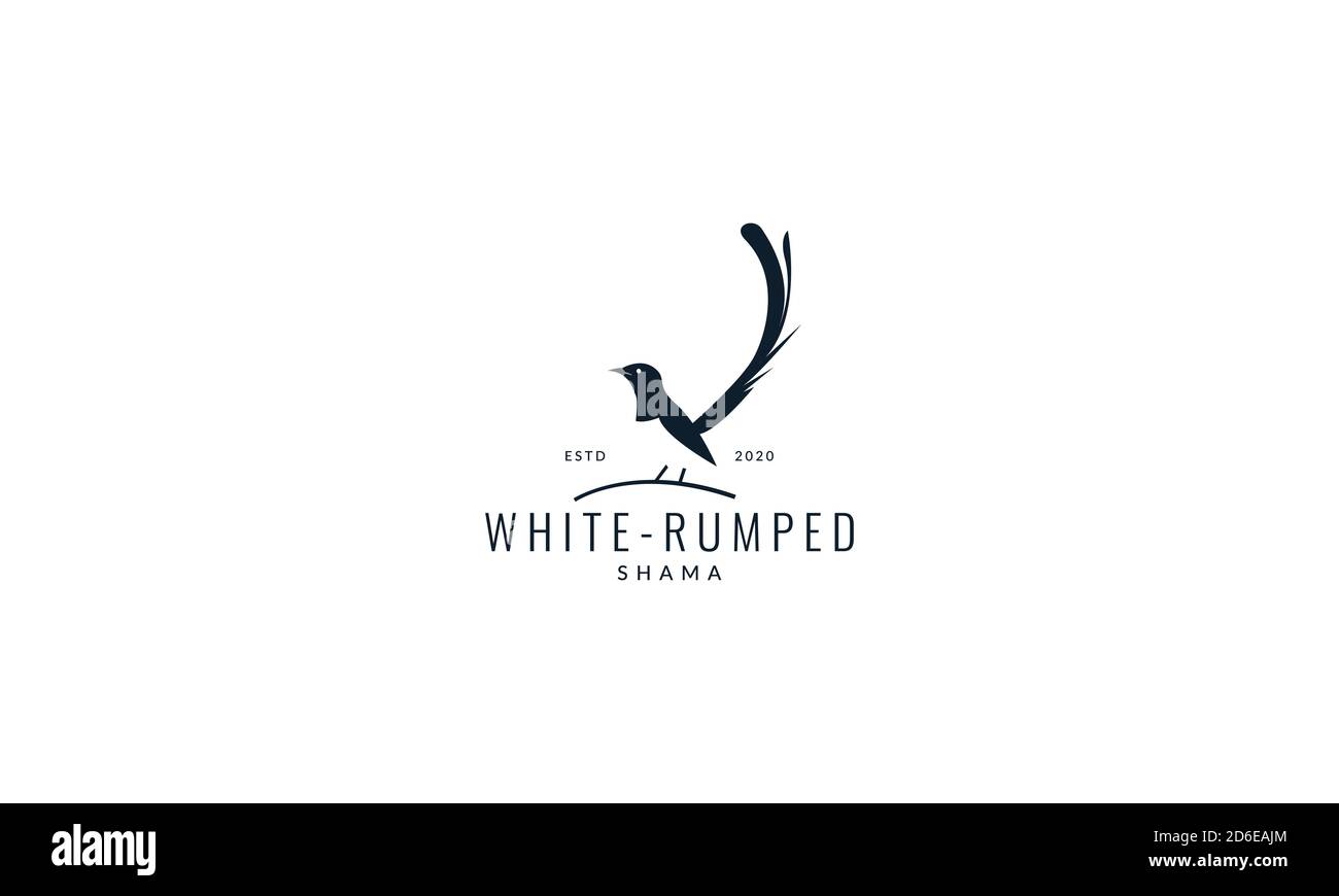 bird White rumped shama vector Stock Vector Image & Art - Alamy