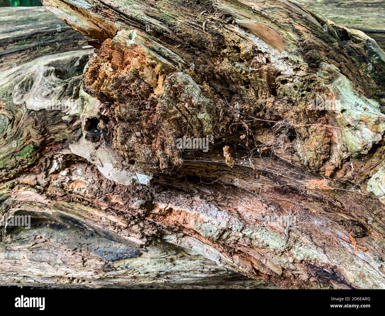 Background, texture of an old rotting, damaged wooden surface Stock ...
