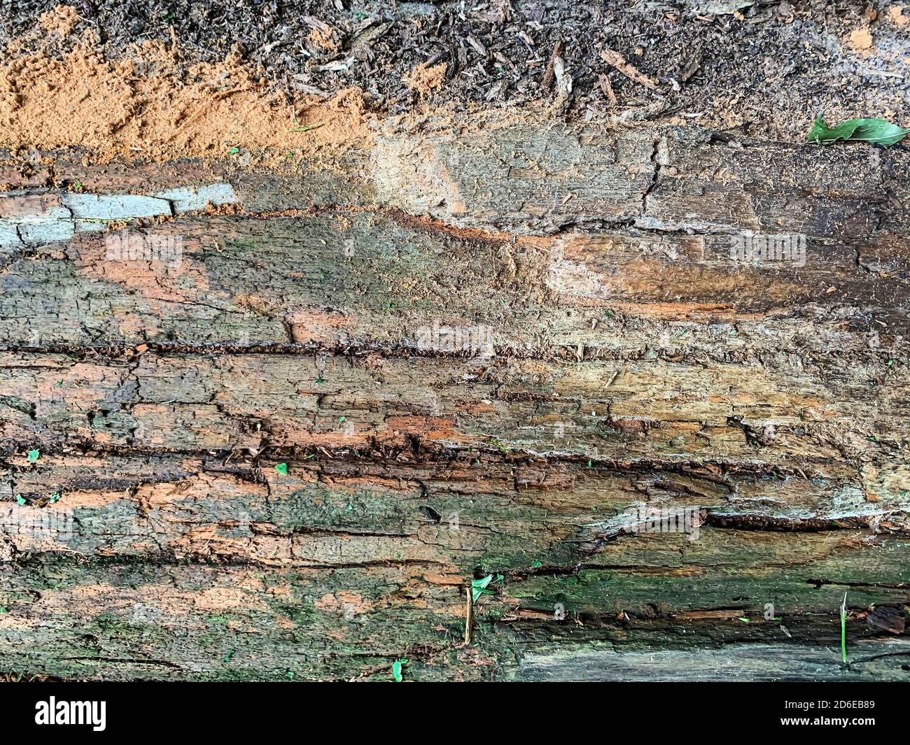 Background, texture of an old rotting, damaged wooden surface Stock ...