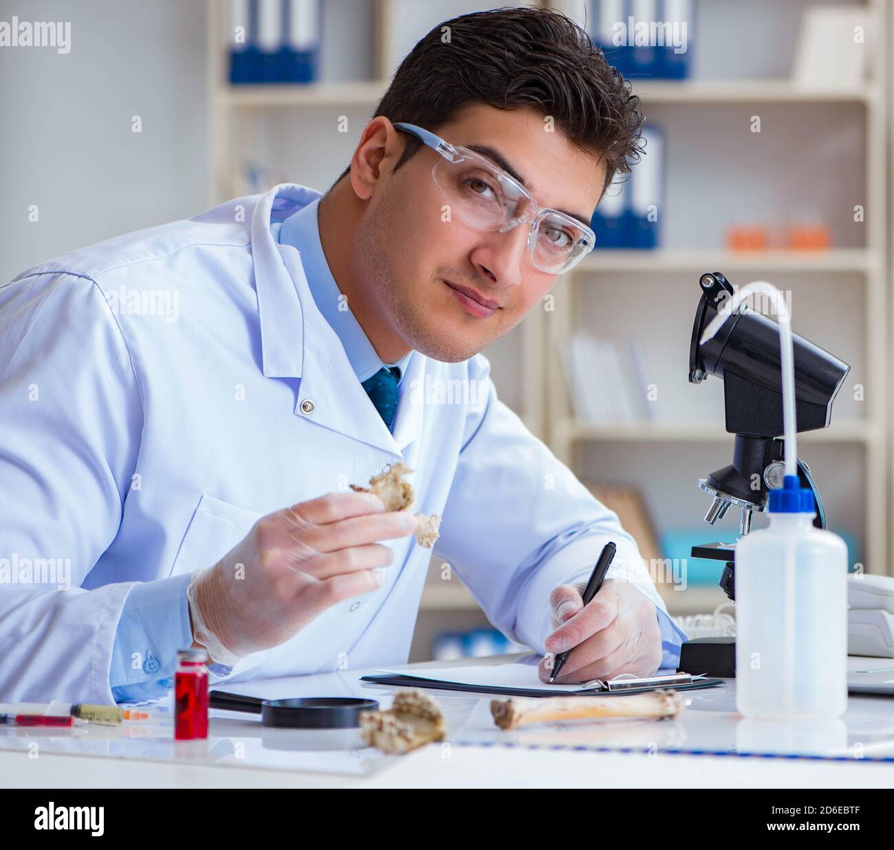The paleontologist looking at extinct animal bone Stock Photo - Alamy
