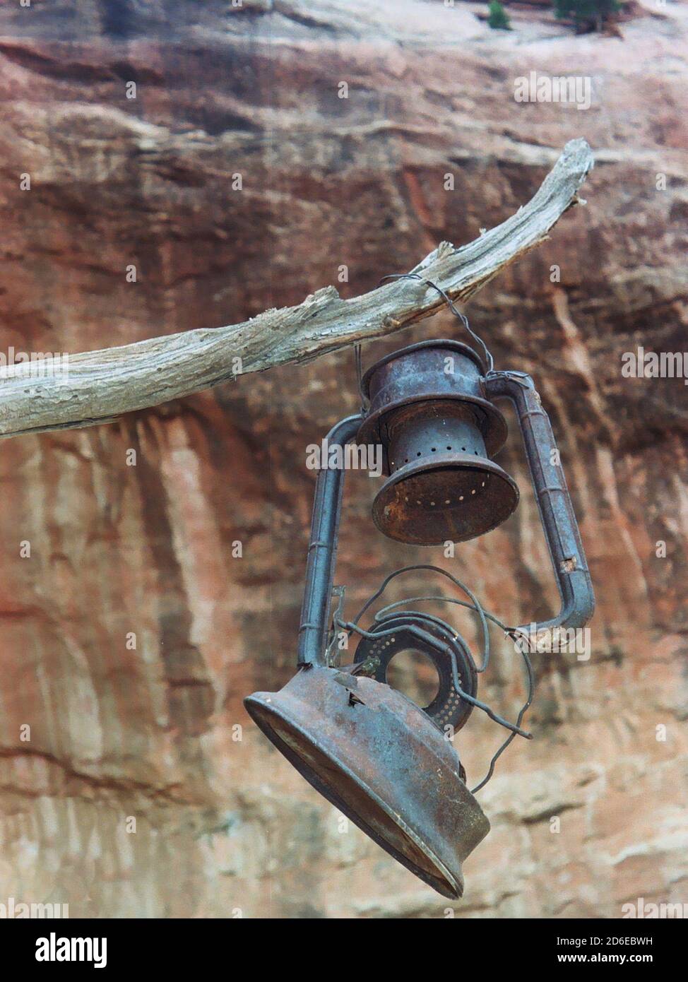 Worn Out - Vintage mining lantern hanging on to dead tree branch Stock ...