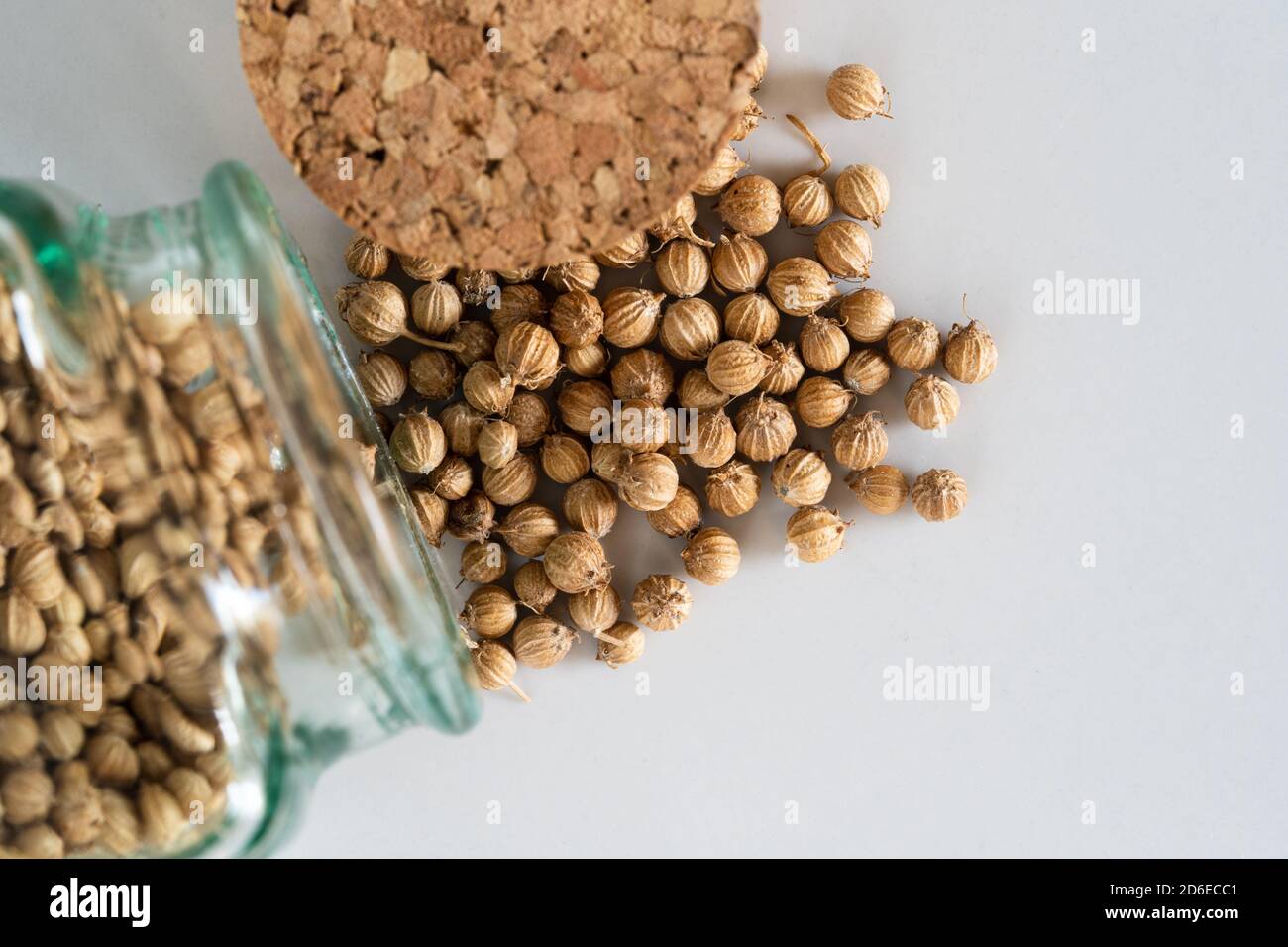From seed to table hi-res stock photography and images - Alamy