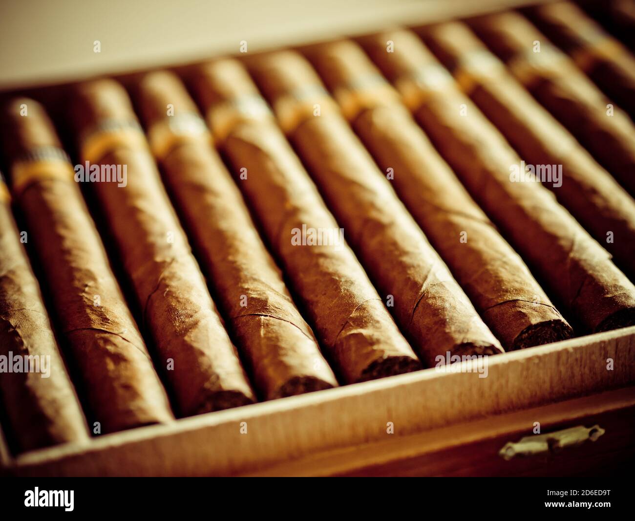 Cigars in a cigar box, toned image Stock Photo - Alamy