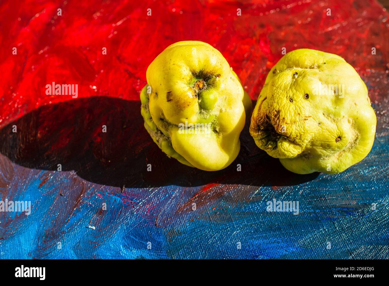 Yellow green quinces hi-res stock photography and images - Alamy