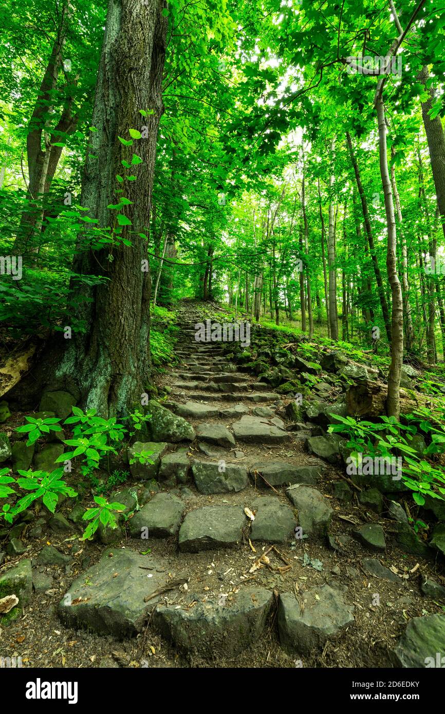 Europe, Poland, Lower Silesia, View from Ostrzyca / Spitzberg - extinct ...