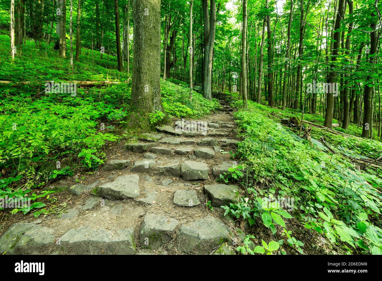 Europe, Poland, Lower Silesia, View from Ostrzyca / Spitzberg - extinct ...