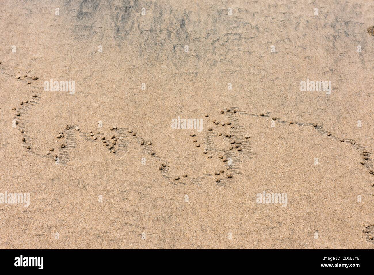 sand circle solid close view made by sea worms near sea beach Stock ...
