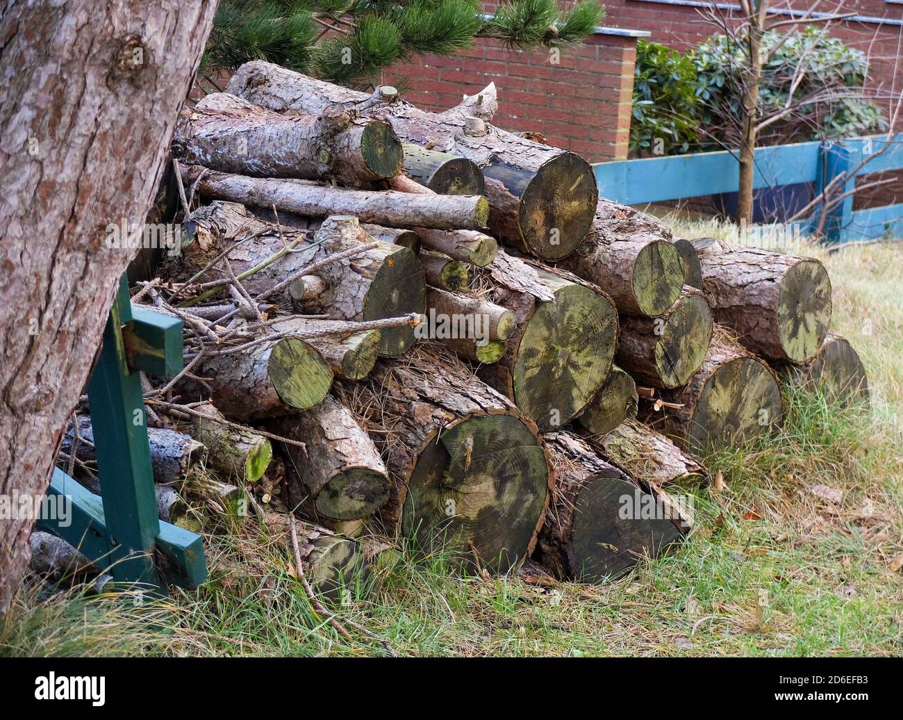 Biodiversity animals hi-res stock photography and images - Alamy