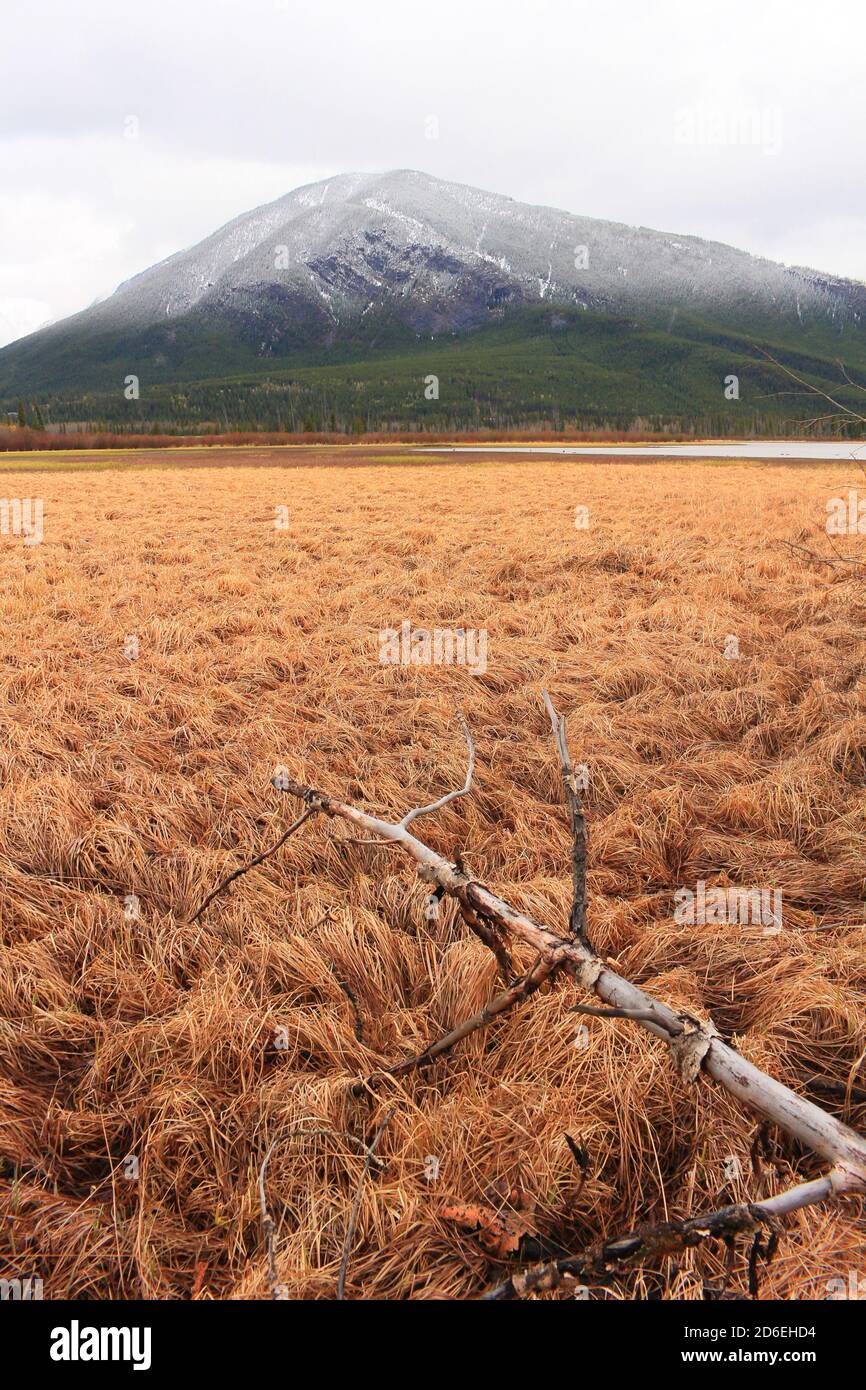 Seasons canada hi-res stock photography and images - Alamy