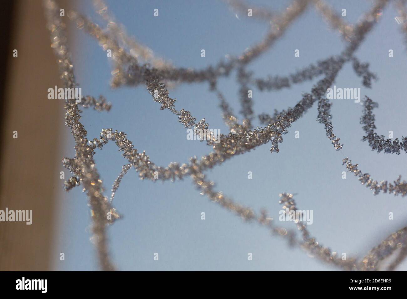 ice droplets formed on spider web Stock Photo - Alamy
