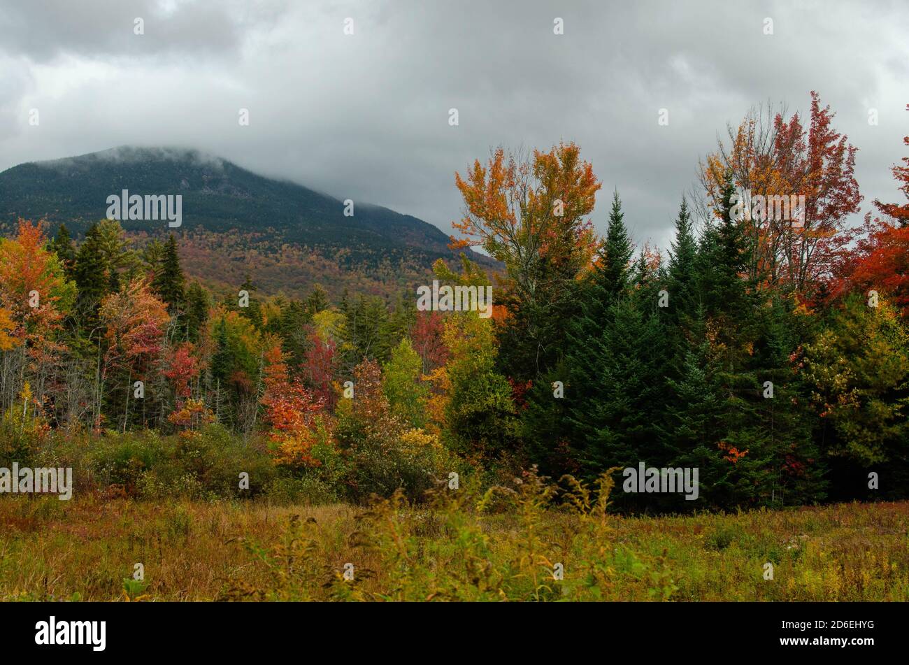 Remote Mountain View of Foliage Stock Photo - Alamy