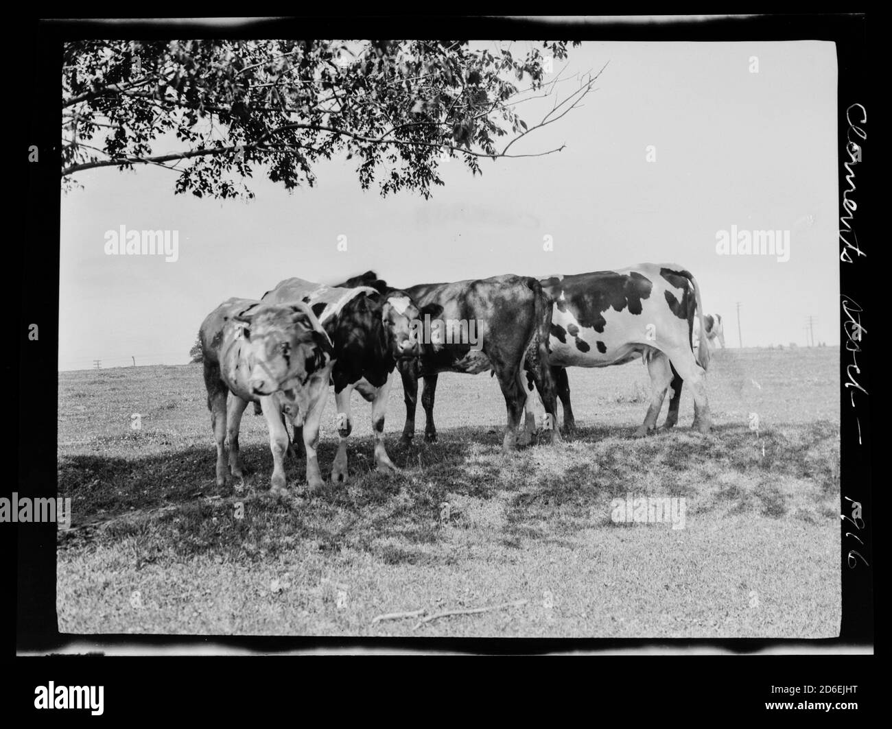 Urban farm chicago Black and White Stock Photos & Images - Alamy