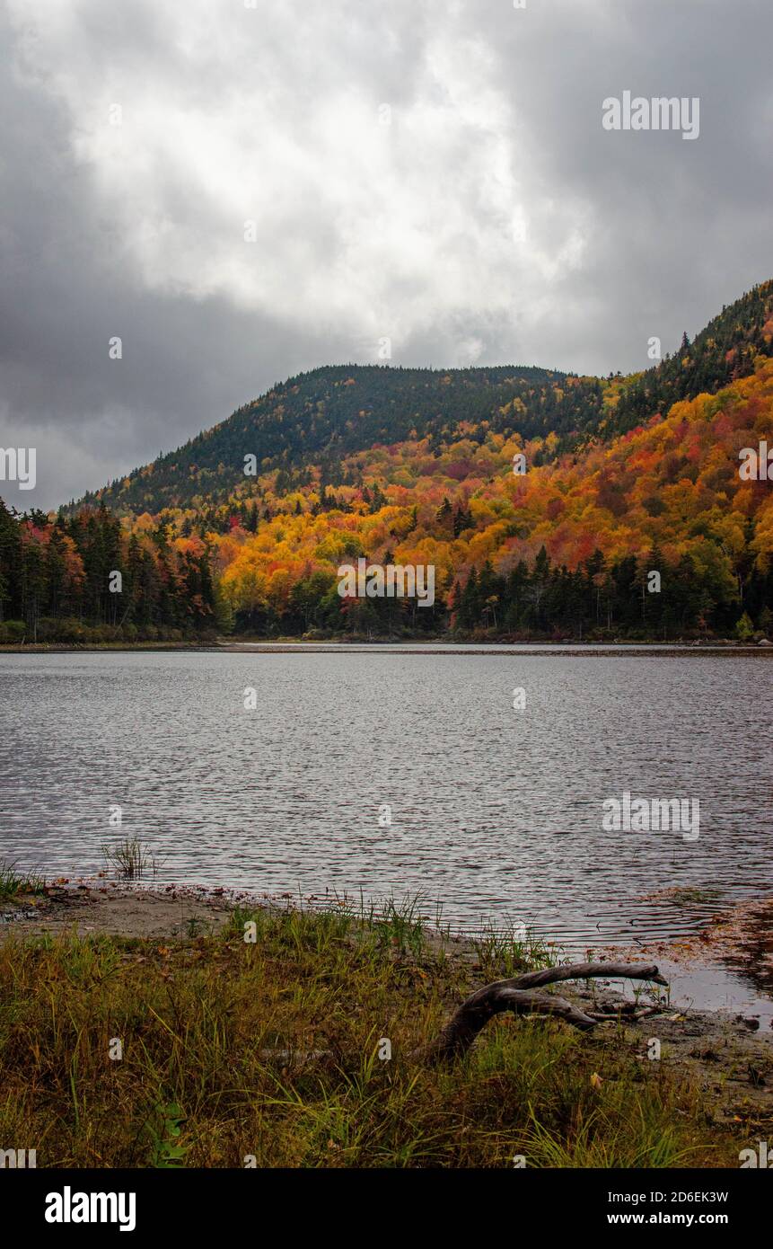 Fall Foliage in Remote Mountains Stock Photo - Alamy