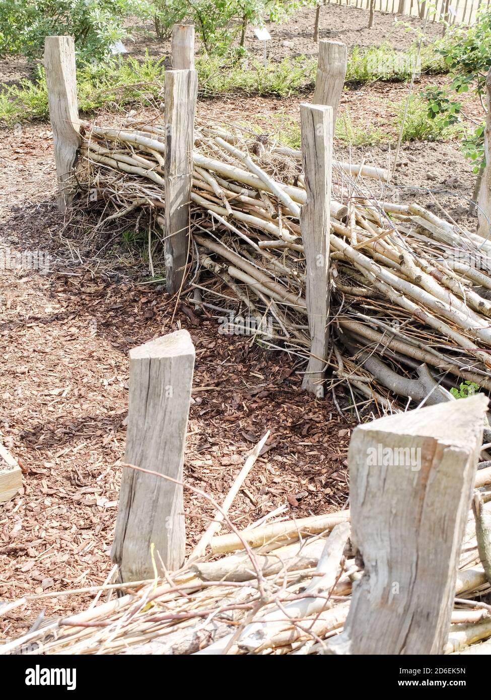 Benjes hedge, dead wood hedge made from loosely piled branches and ...