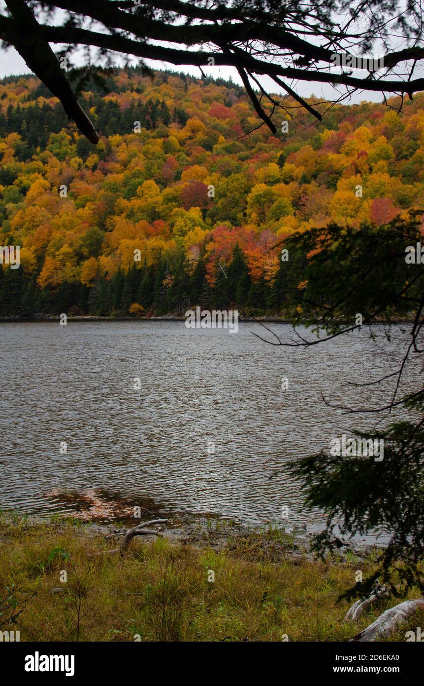 Fall Foliage in Remote Mountains Stock Photo - Alamy