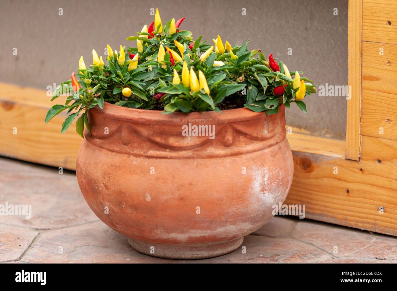 Hot pot spice hi-res stock photography and images - Alamy