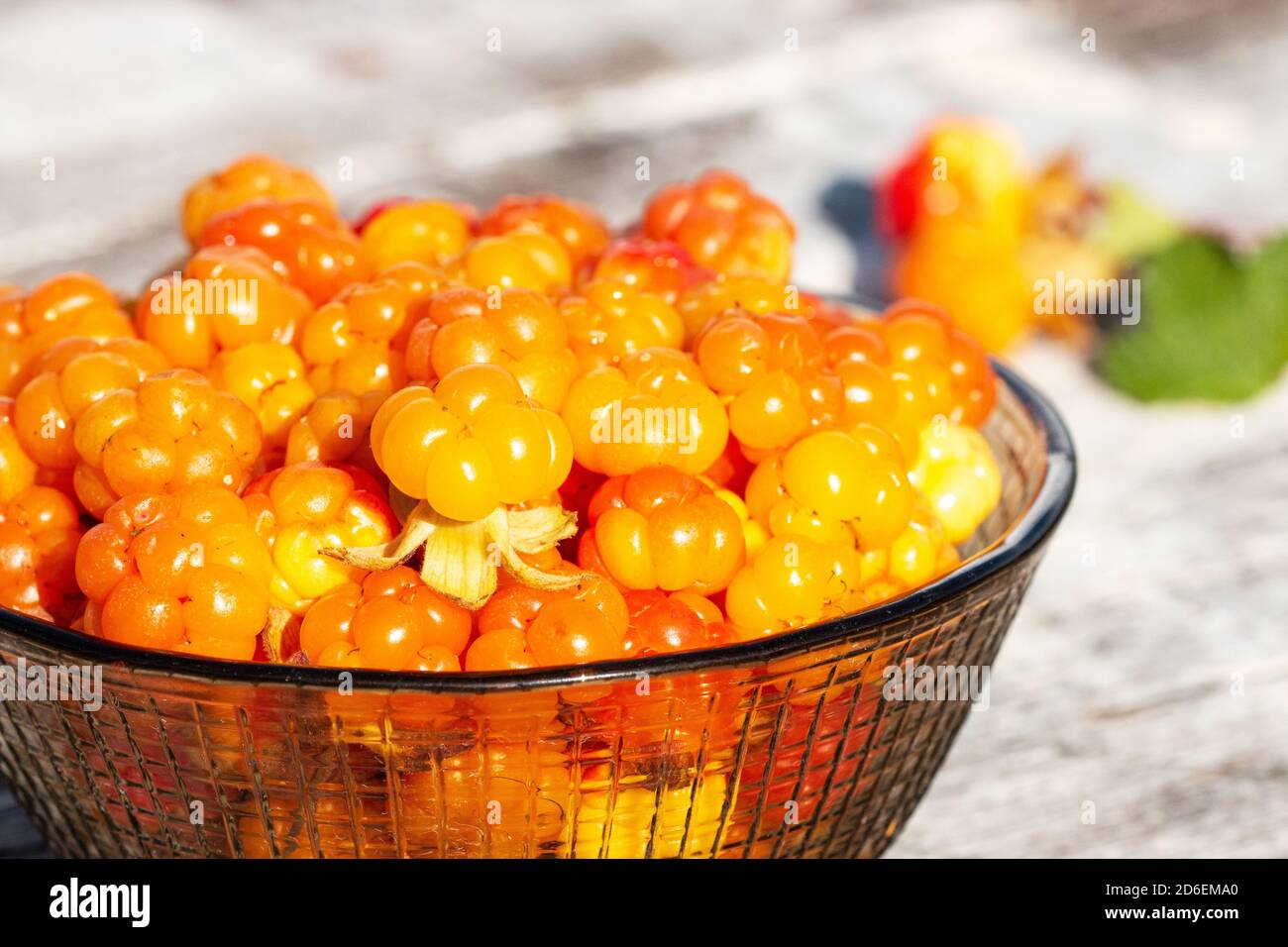 Chamaemorus hi-res stock photography and images - Alamy