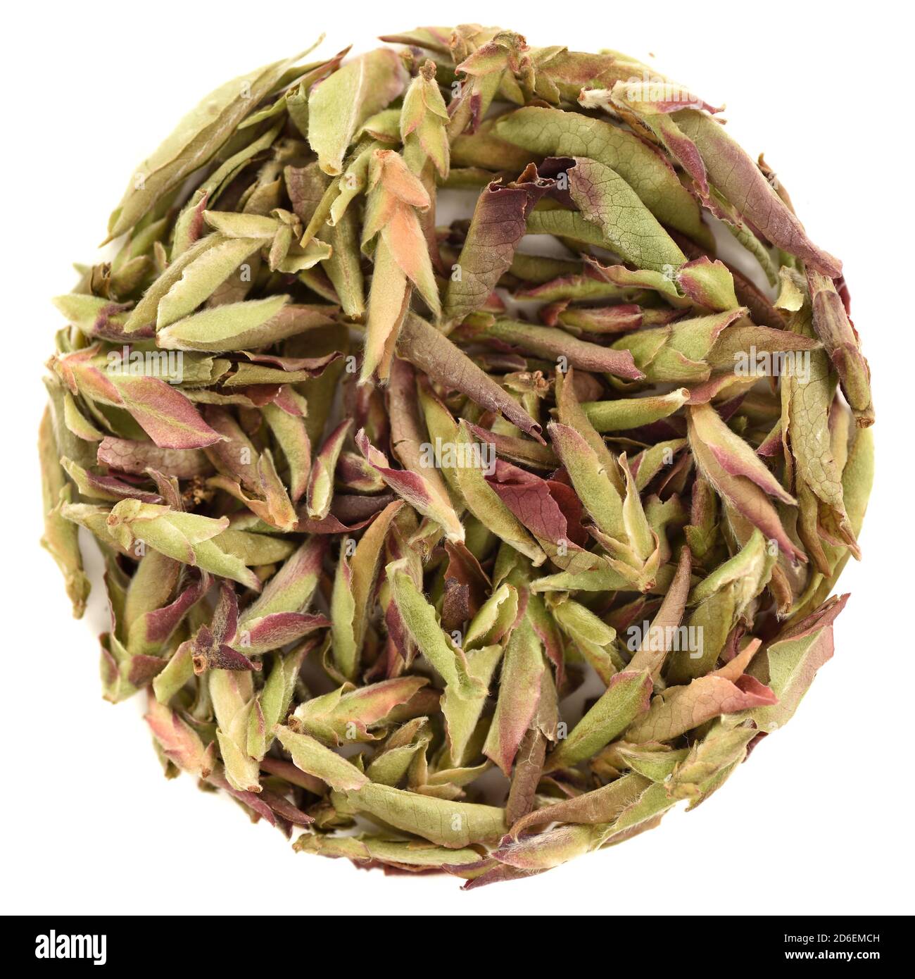 Wild Tree Purple Sweet Ya Bao White Tea round shape isolated overhead ...