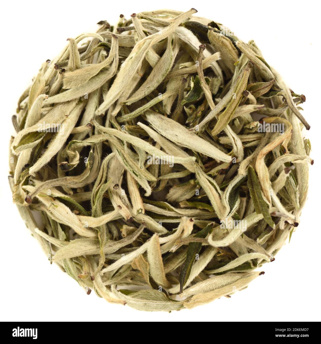 Yunnan Snow Buds White Tea round shape isolated Stock Photo - Alamy