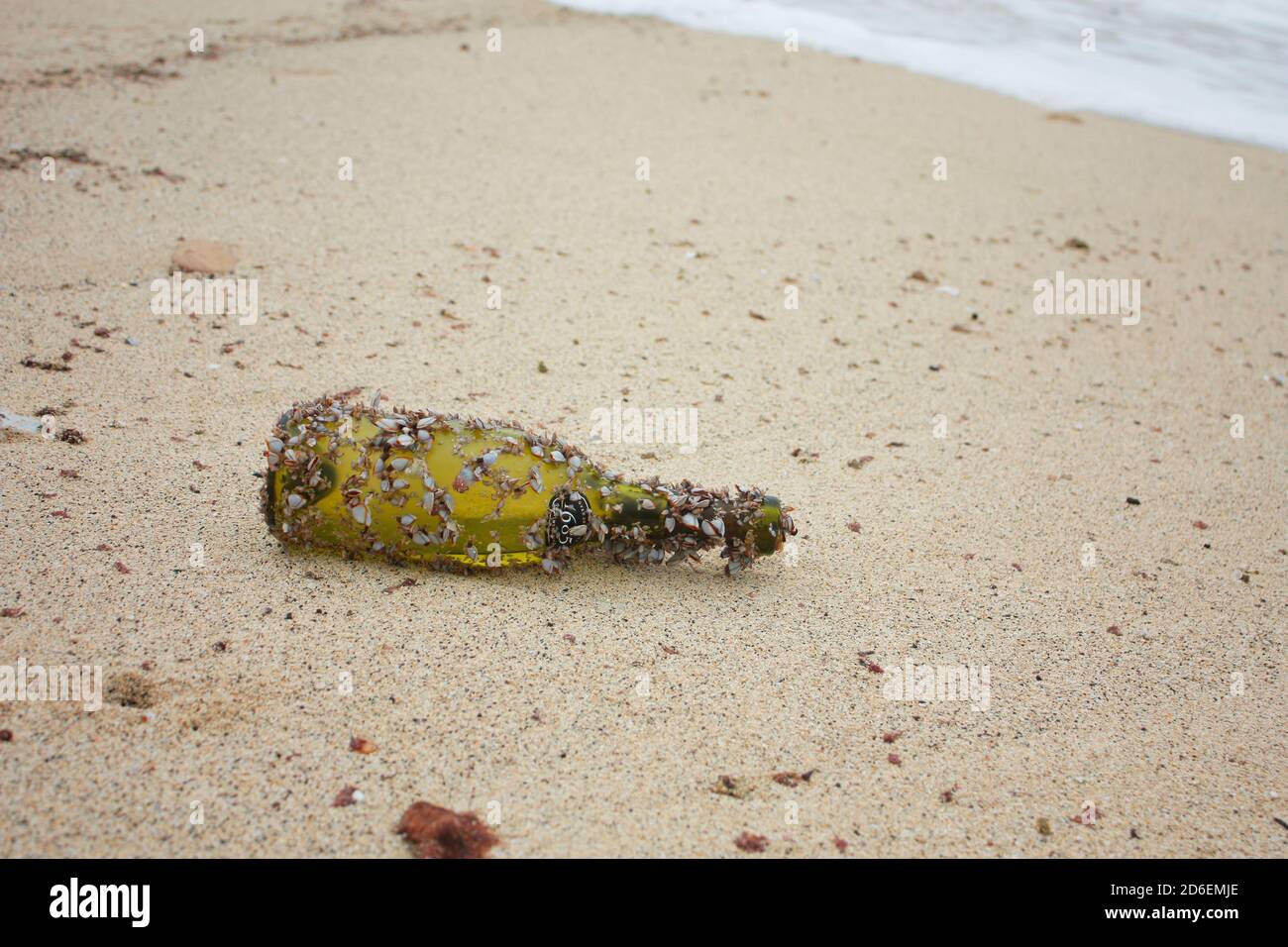 Glass bottle covered in tiny shells on the sand Stock Photo - Alamy
