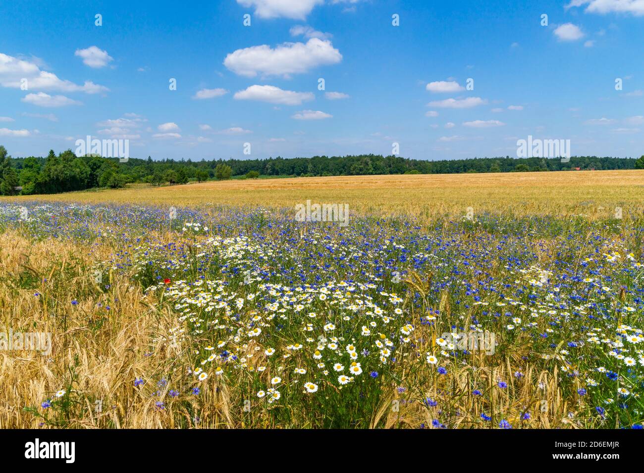 Mainhardt High Resolution Stock Photography and Images - Alamy