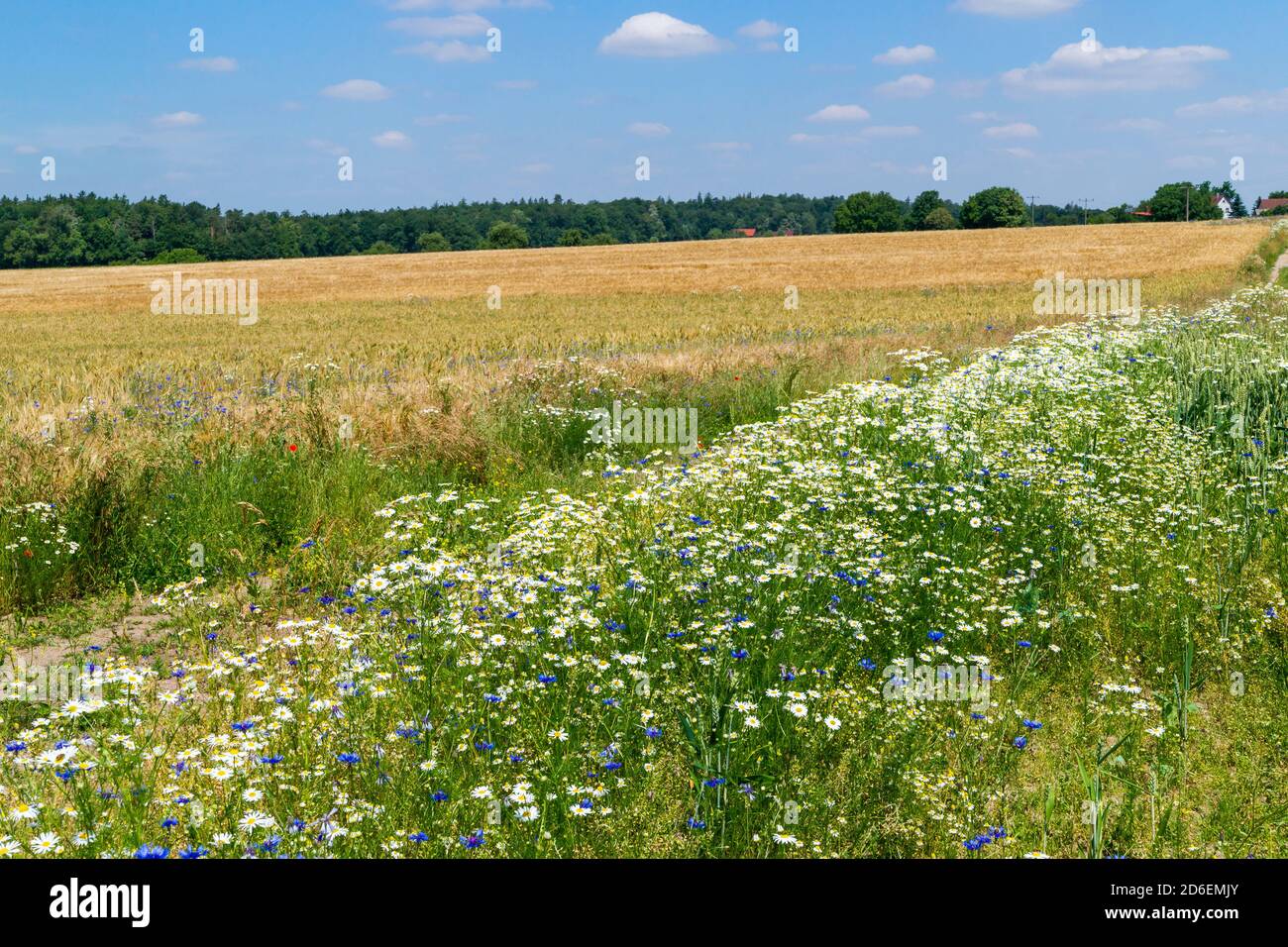 Mainhardt High Resolution Stock Photography and Images - Alamy