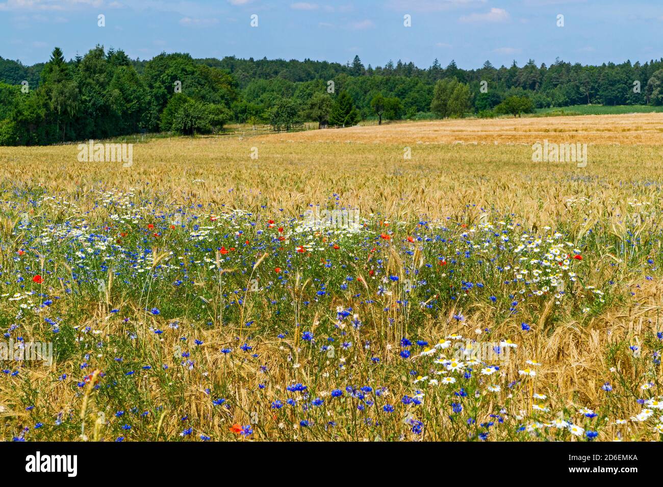 Mainhardt High Resolution Stock Photography and Images - Alamy